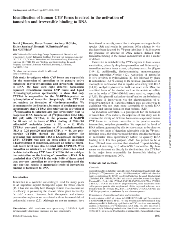 (PDF) Identification of human CYP forms involved in the activation of ...
