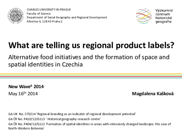 (PDF) (In)visible agents in regional development: Active individuals ...