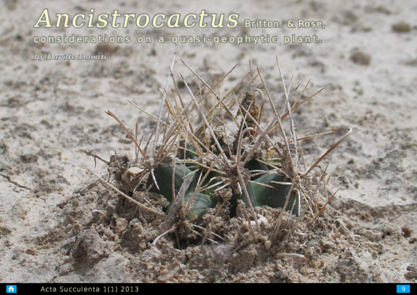 (PDF) Ancistrocactus Britton. & Rose, considerations on a quasi ...