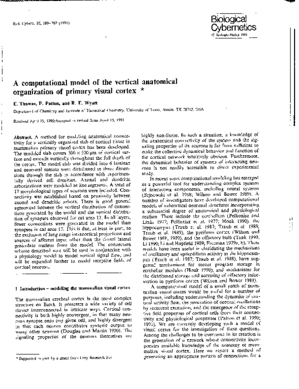 A Computational Model Of The Vertical Anatomical Organization Of Primary Visual Cortex