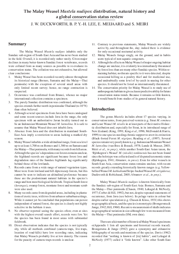(PDF) The Malay Weasel Mustela nudipes: distribution, natural history ...