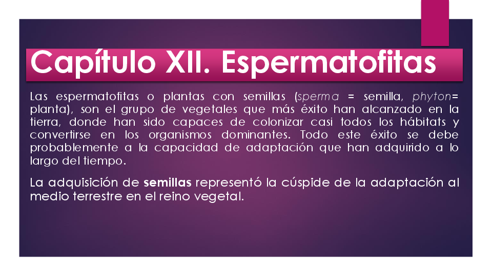 (PDF) Capítulo XII. Espermatofitas