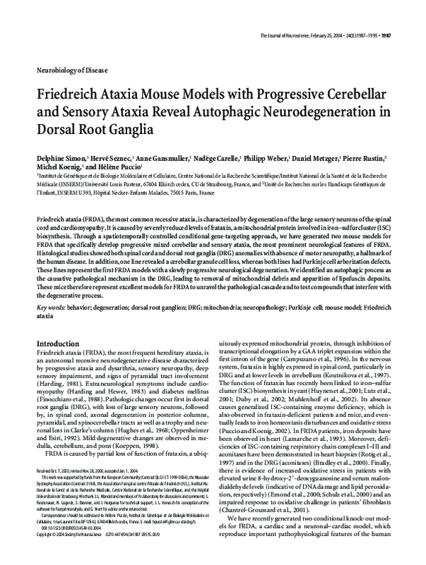Friedreich Ataxia Mouse Models with Progressive Cerebellar and Sensory Ataxia Reveal Autophagic ...