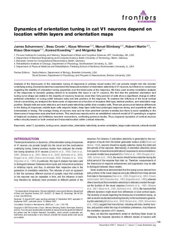 Pdf Dynamics Of Orientation Tuning In Cat V1 Neurons Depend On Location Within Layers And