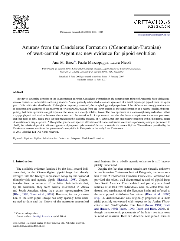 (PDF) Anurans from the Candeleros Formation (?Cenomanian-Turonian) of ...
