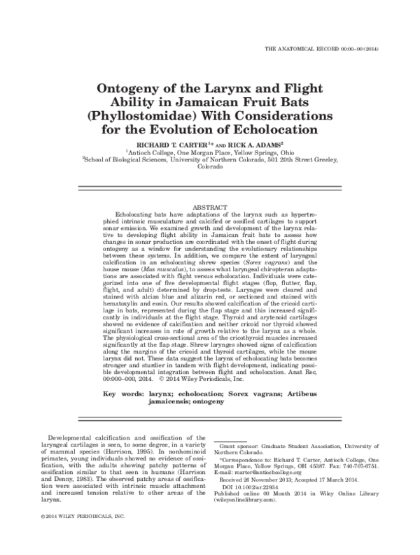 (PDF) Ontogeny of the larynx and flight ability in Jamaican fruit bats ...