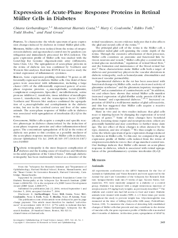 (PDF) Expression of Acute-Phase Response Proteins in Retinal Muller ...