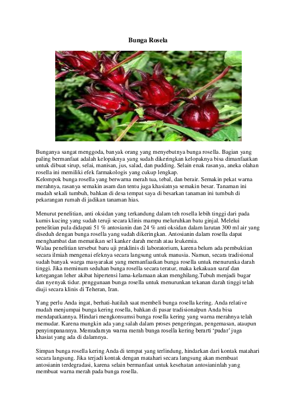 (DOC) Bunga Rosela
