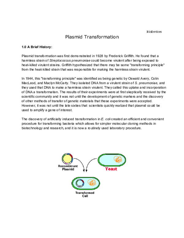 (PDF) Plasmid Transformation