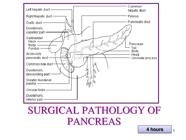 (PPT) C 8 + 9 SURGICAL PATHOLOGY OF PANCREAS | Ana Dumitrescu ...