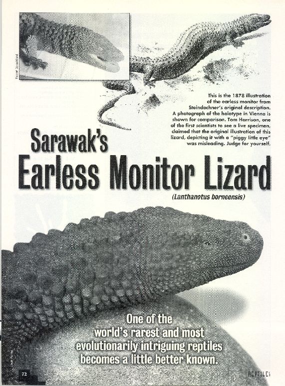 (PDF) 1999. Sarawak’s earless monitor lizard (Lanthanotus borneensis)