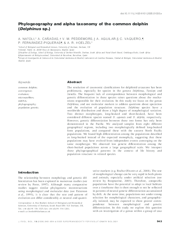 (PDF) Phylogeography and alpha taxonomy of the common dolphin (Delphinus sp