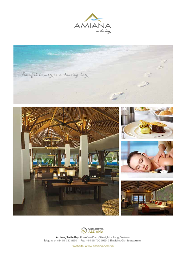 (PDF) Amiana fact sheet English FA