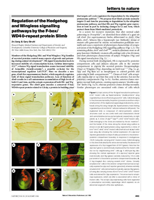 Pdf Regulation Of The Hedgehog And Wingless Signalling Pathways By The F Box Wd40 Repeat