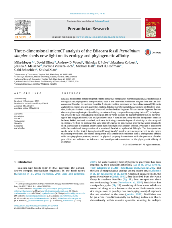 (PDF) Three-dimensional microCT analysis of the Ediacara fossil ...