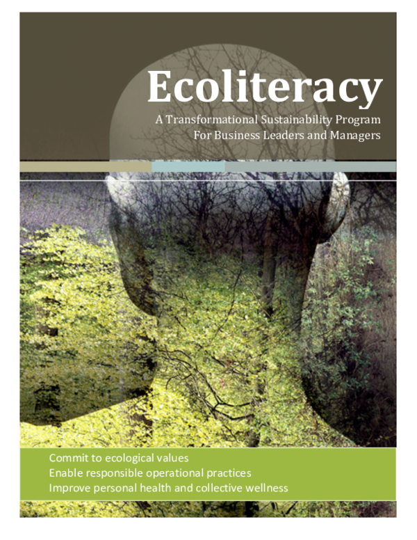 (PDF) Ecoliteracy A Transformational Sustainability Program For ...