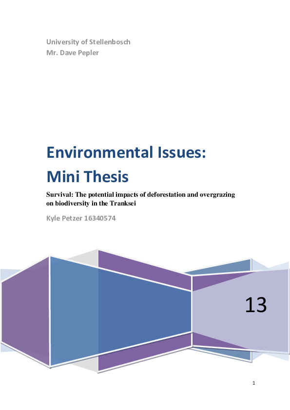 (DOC) K. Petzer Environmental Issues - Mini Thesis