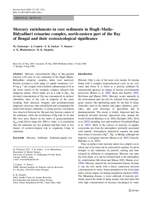 (PDF) Mercuryenrich-Env Geo-2009