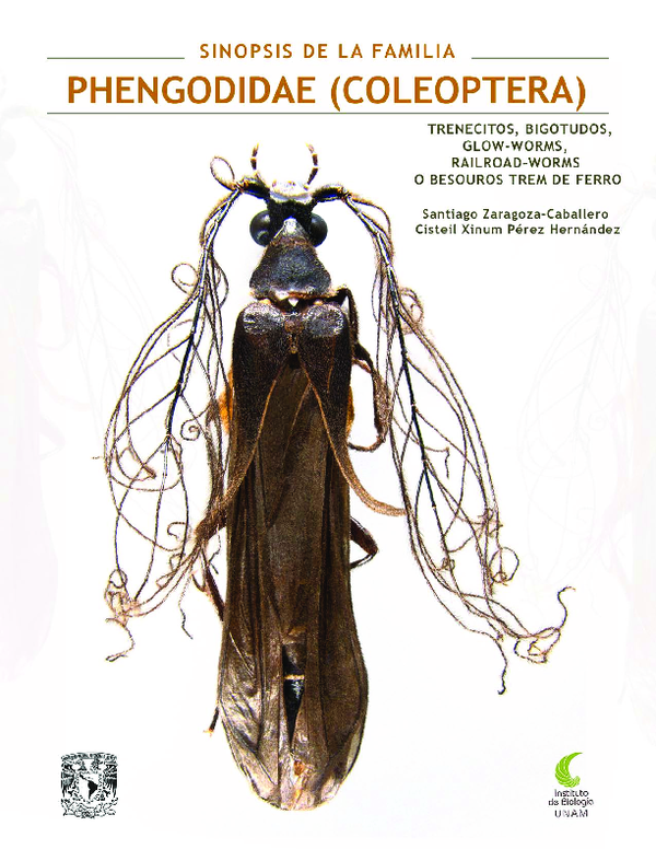(PDF) Sinopsis de la familia Phengodidae (Coleoptera): trenecitos ...