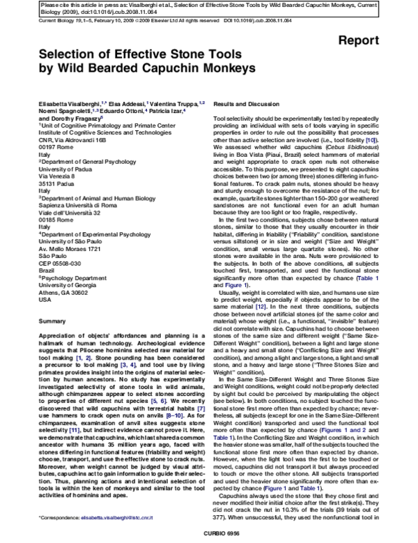(PDF) Selection of Effective Stone Tools by Wild Bearded Capuchin Monkeys