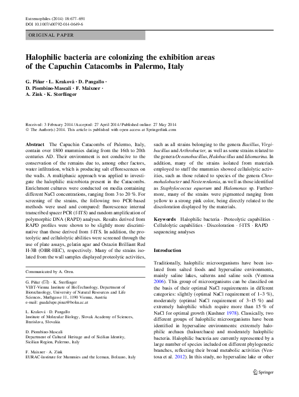 Halophilic Bacteria