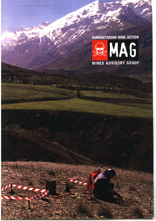 (PDF) MAG Global Activities Report 1999