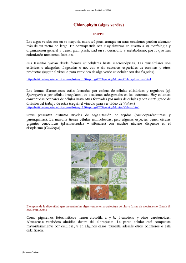 (PDF) 9 Chlorophyta