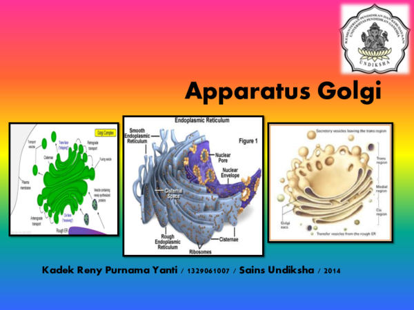 (PPT) Kompleks Golgi ppt