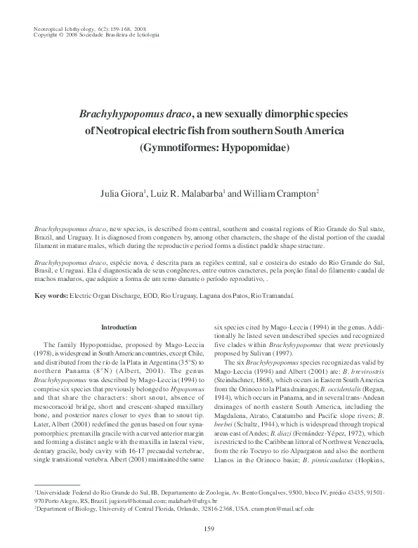 (PDF) Brachyhypopomus draco, a new sexually dimorphic species of ...