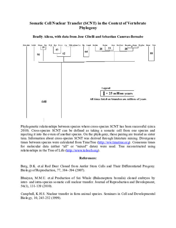 (PDF) Somatic Cell Nuclear Transfer (SCNT) in the Context of Vertebrate ...