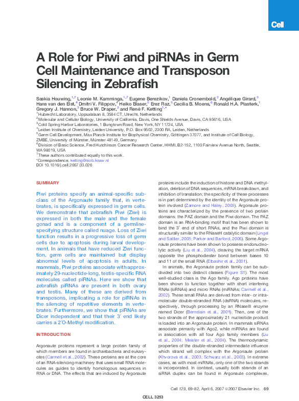 (PDF) A Role for Piwi and piRNAs in Germ Cell Maintenance and ...
