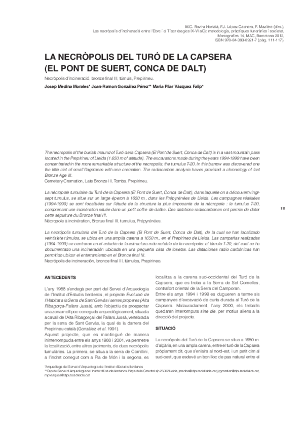 (PDF) La necròpolis del Turó de la Capsera (El Pont de Suert, Conca de ...