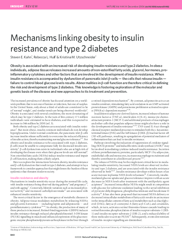 (PDF) Mechanisms linking obesity to insulin resistance and type 2 diabetes