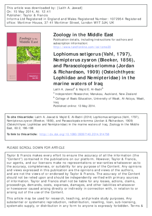 (PDF) New record of Lophiomus setigerus Iraq