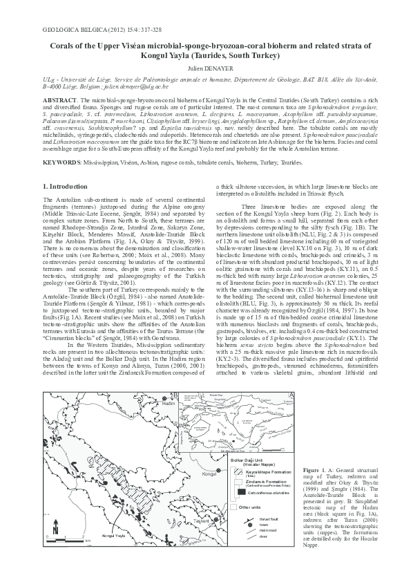 (PDF) Corals of the Upper Viséan microbial-sponge-bryozoan-coral ...