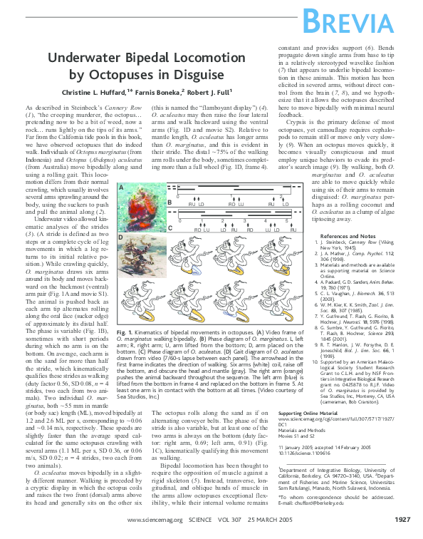 (PDF) Underwater bipedal locomotion by octopuses in disguise