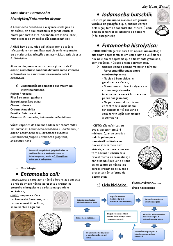(PDF) AMEBÍASE: Entamoeba histolytica/Entamoeba dispar