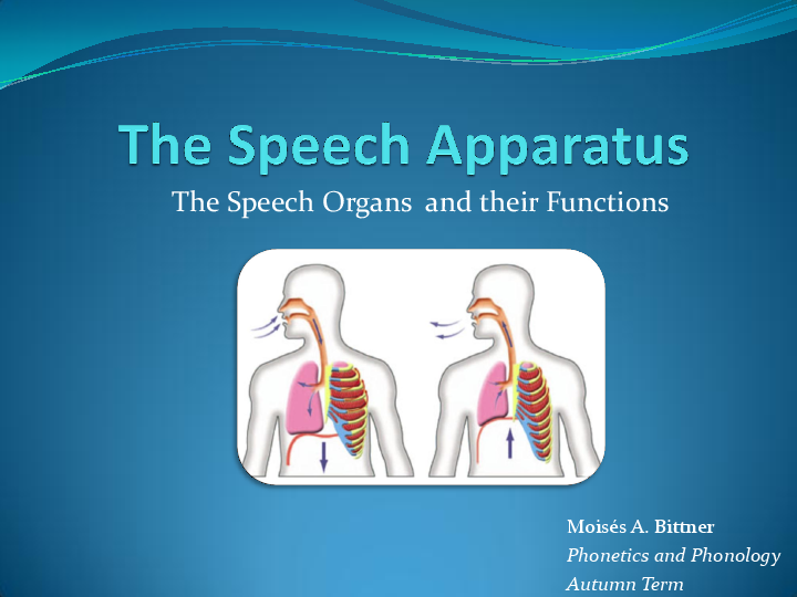 (PDF) The Speech Apparatus