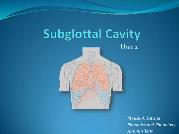 (PDF) Subglottal Cavity