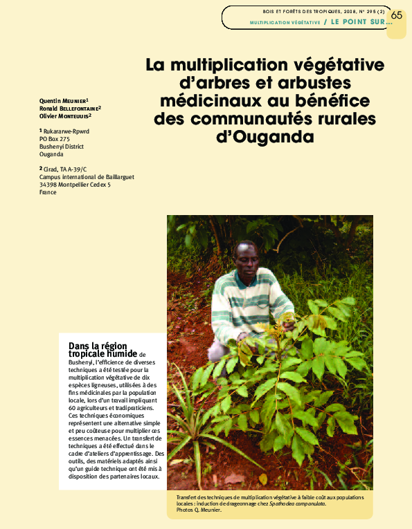 (PDF) MULTIPLICATION VÉGÉTATIVE / LE POINT SUR