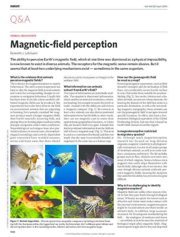 (PDF) Magnetic-field Perception Kenneth J. Lohmann
