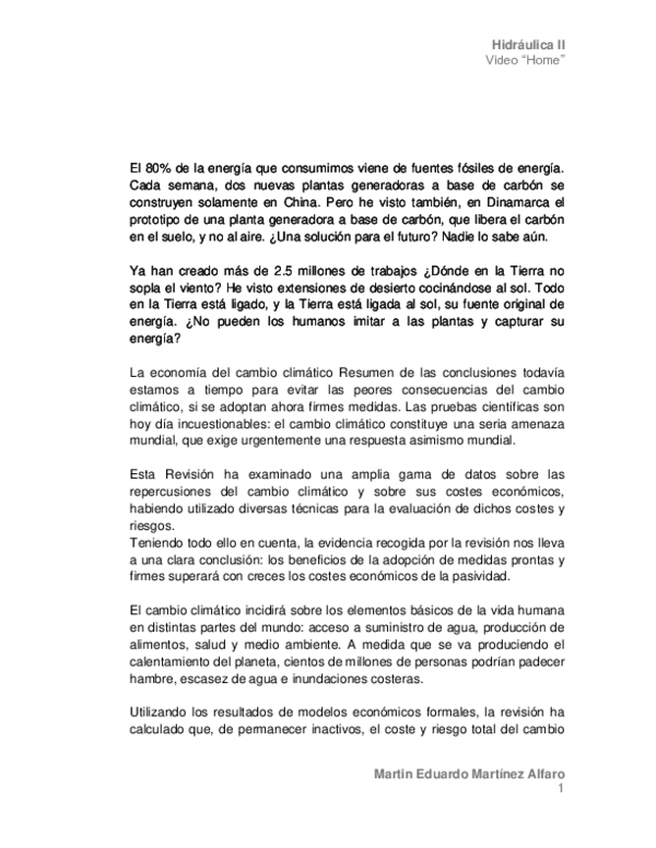 (DOC) Resumen Video HOME