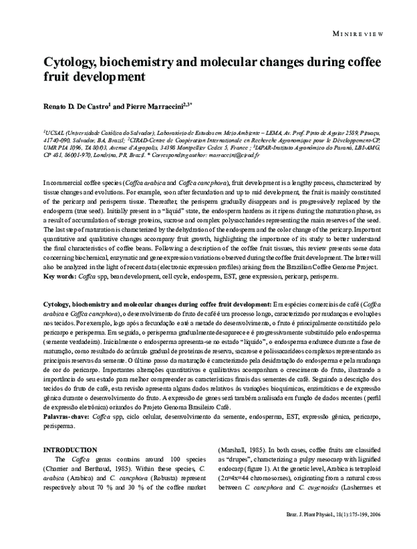 (PDF) Cytology, biochemistry and molecular changes during coffee fruit ...