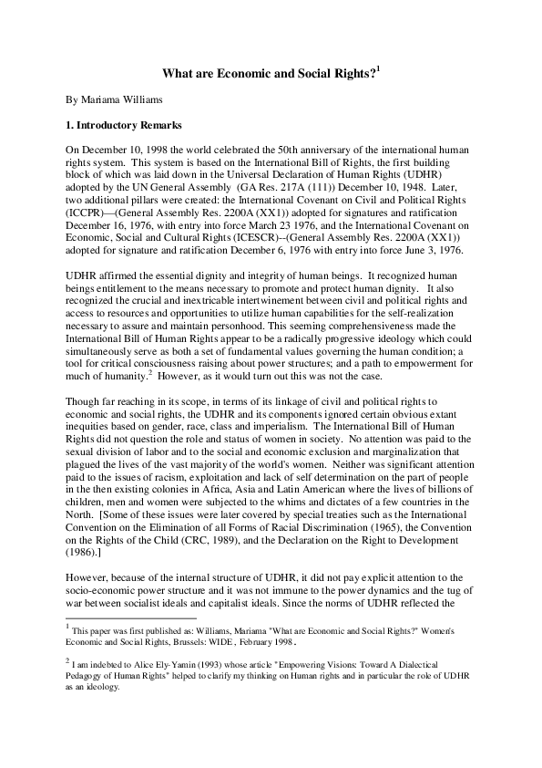 (PDF) What are economic and social rights