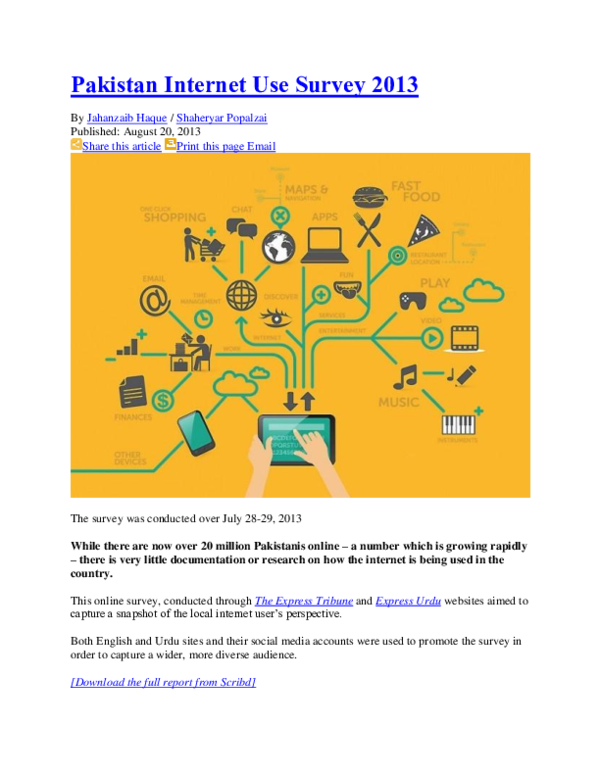 (DOC) Pakistan Internet Use Survey 2013