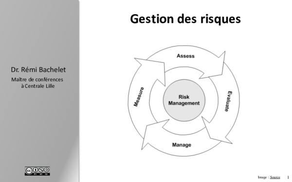 (PDF) Gestion des risques
