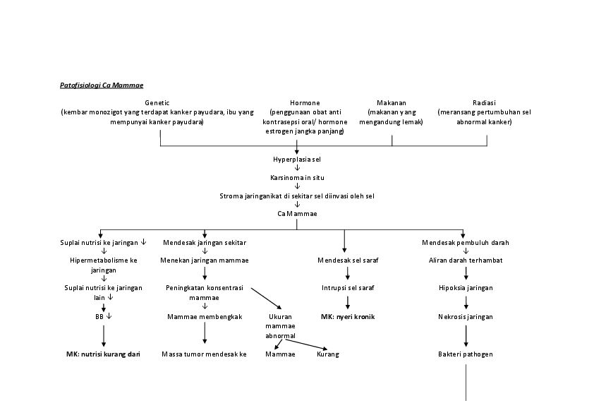 (DOC) Patofisiologi Ca Mammae