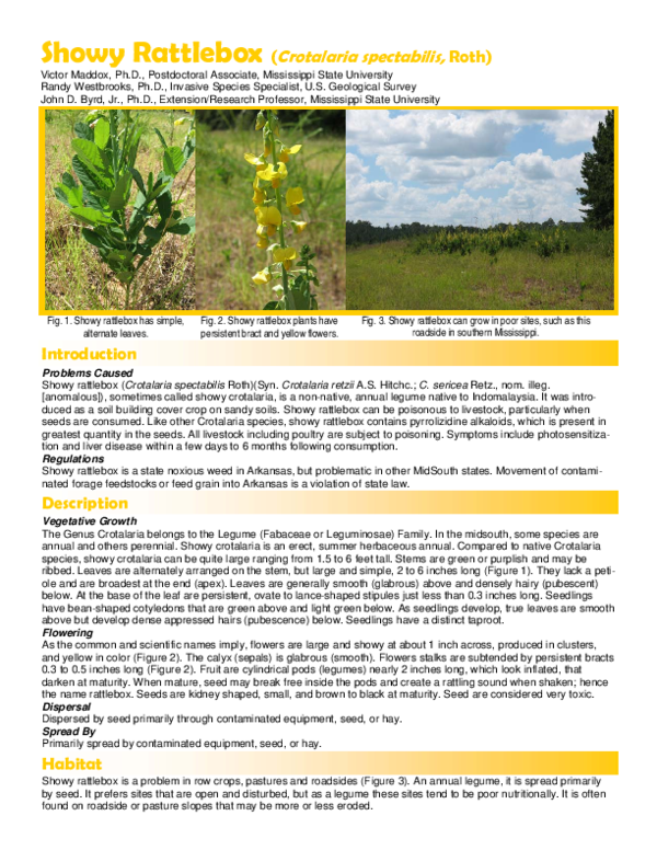 (PDF) Showy Rattlebox (Crotalaria spectabilis, Roth