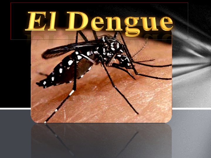(PPT) El Dengue Diapositivas
