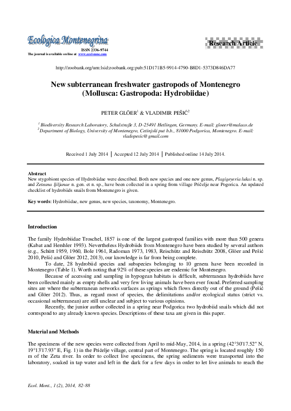 (PDF) New subterranean freshwater gastropods of Montenegro (Mollusca: Gastropoda: Hydrobiidae)